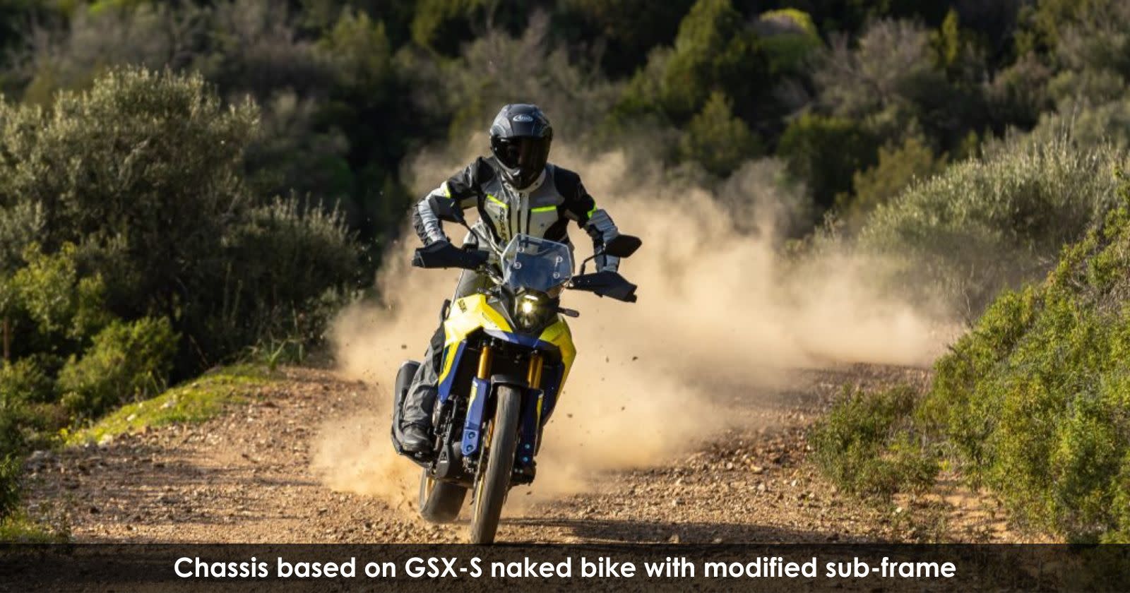 Suzuki Launches V-Strom 800DE in India