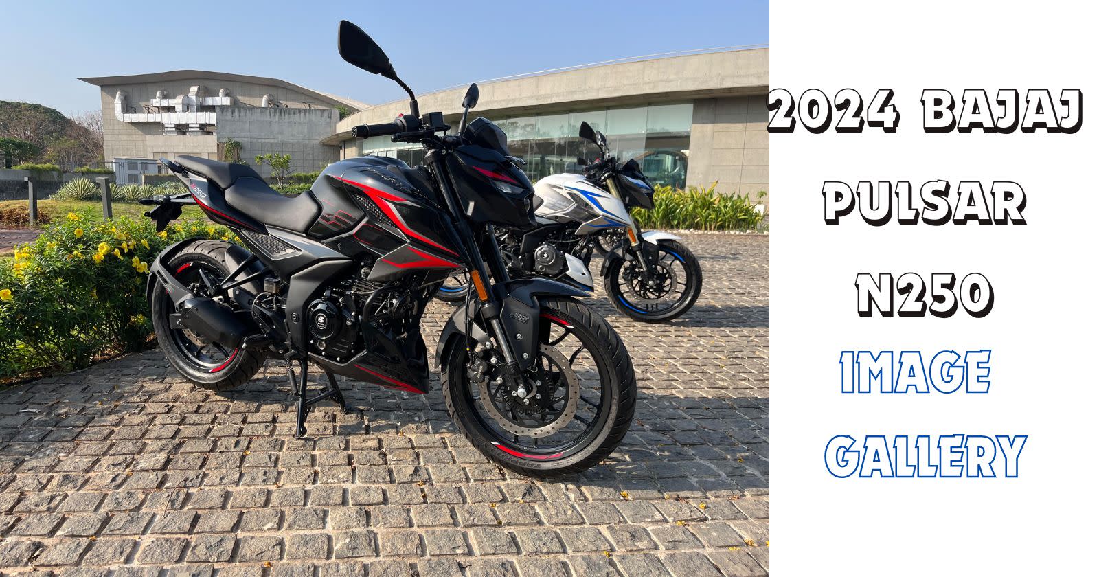 2024 Bajaj Pulsar N250 Launched: Image Gallery