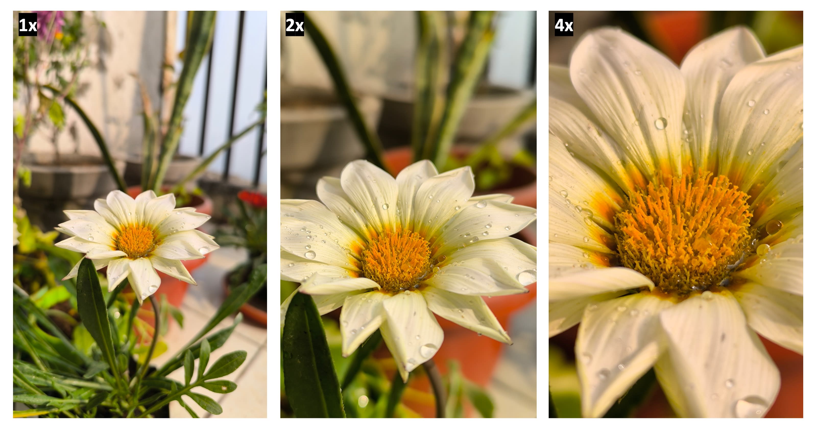 Xiaomi Redmi Note 13 Pro+ Review: To the T