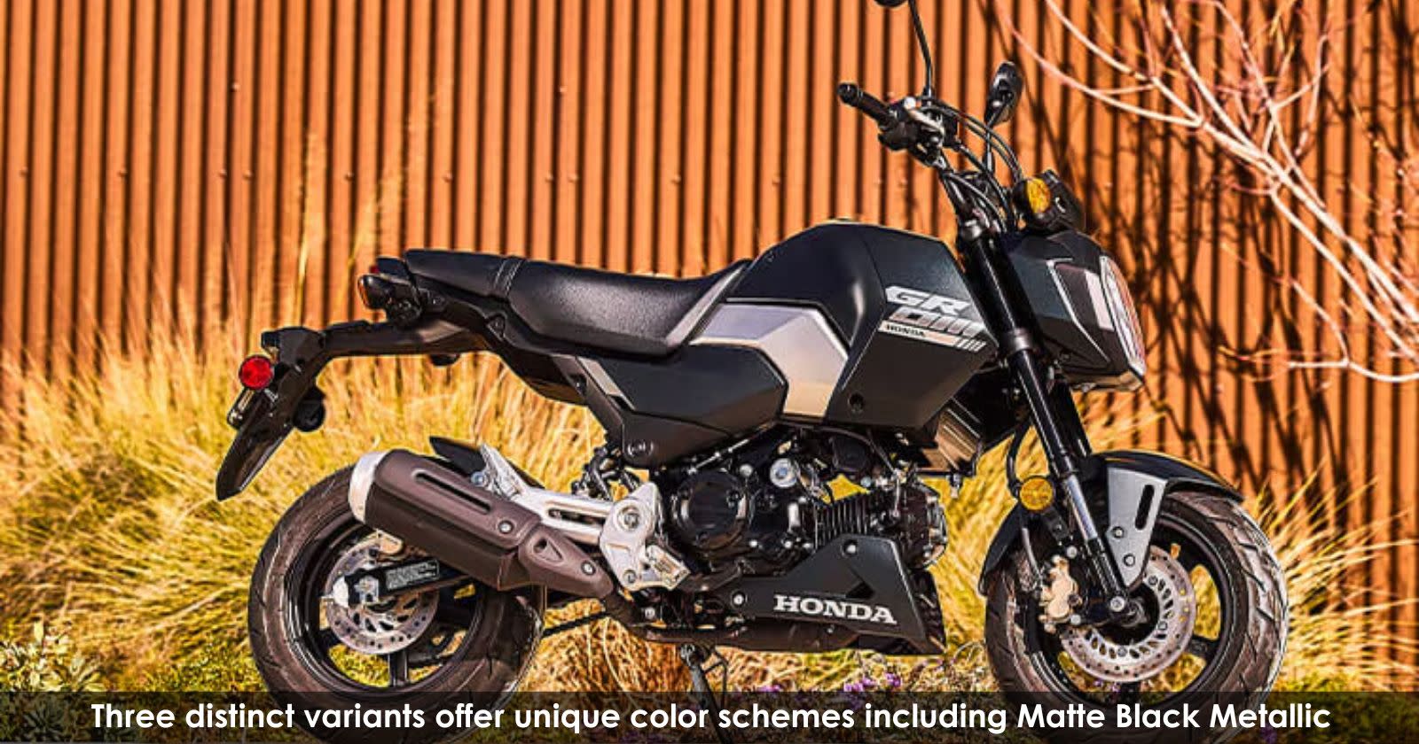 2025 Honda Grom Announced for Overseas Markets; COSTS ₹3 LAKHS!