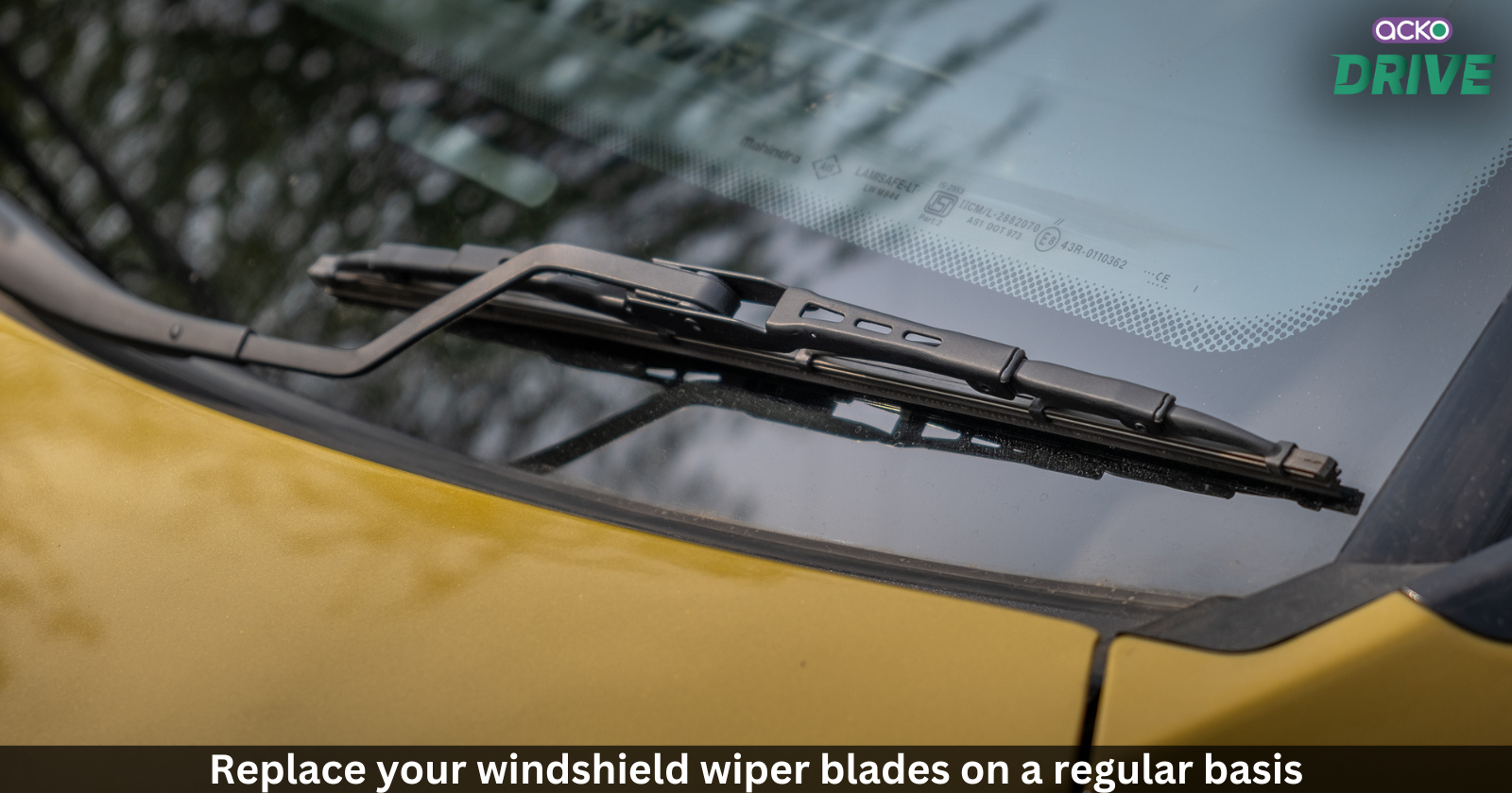 International Yoga Day 2024: Tips To Check Your Car’s Fitness