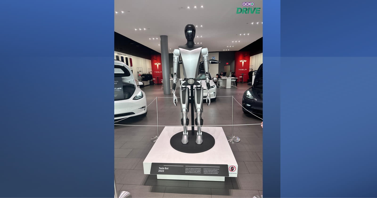 Tesla Shares Update On Optimus Robot Prototype With Namaste Greeting