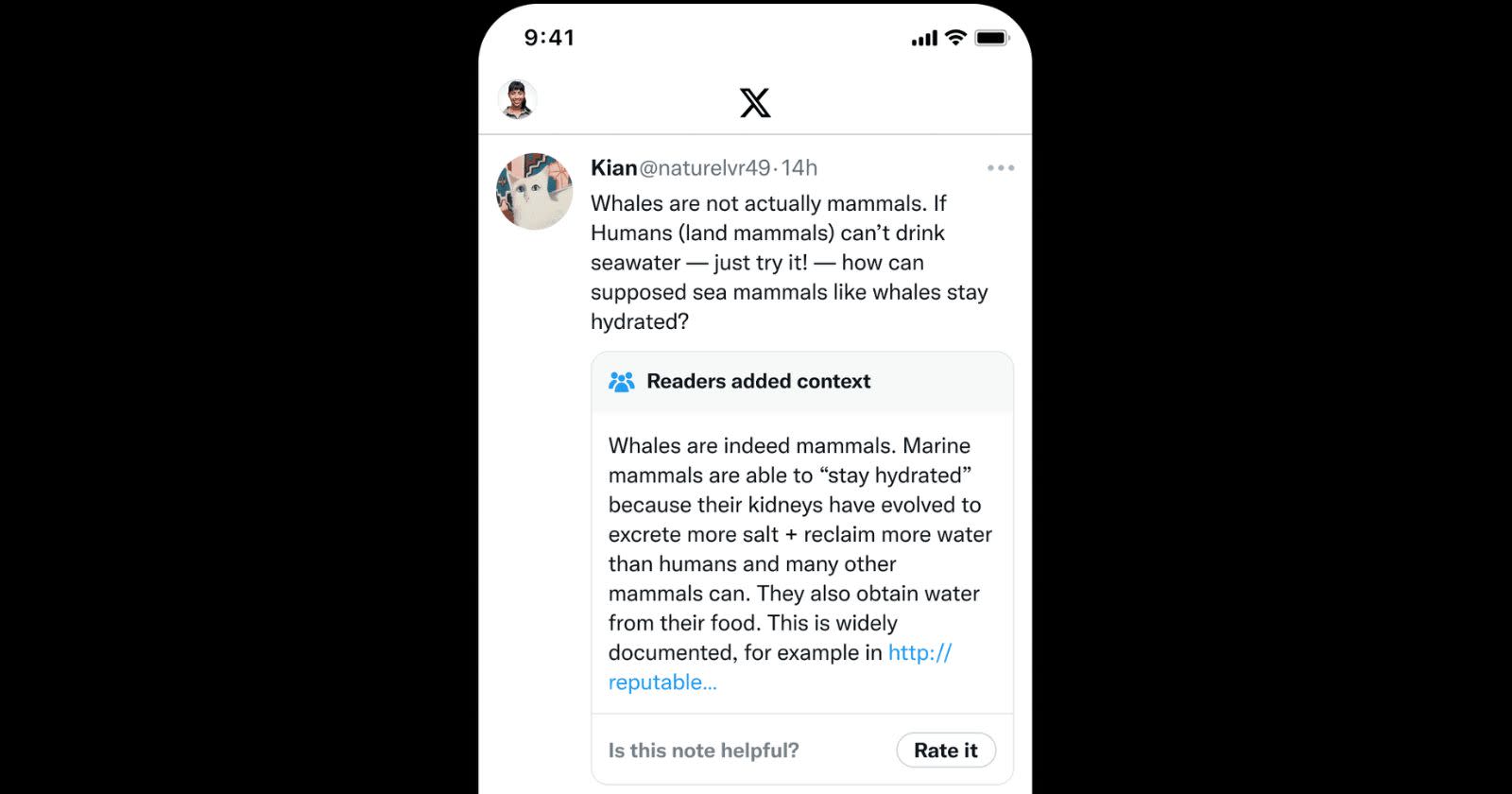 X Launches Community Notes Program in India