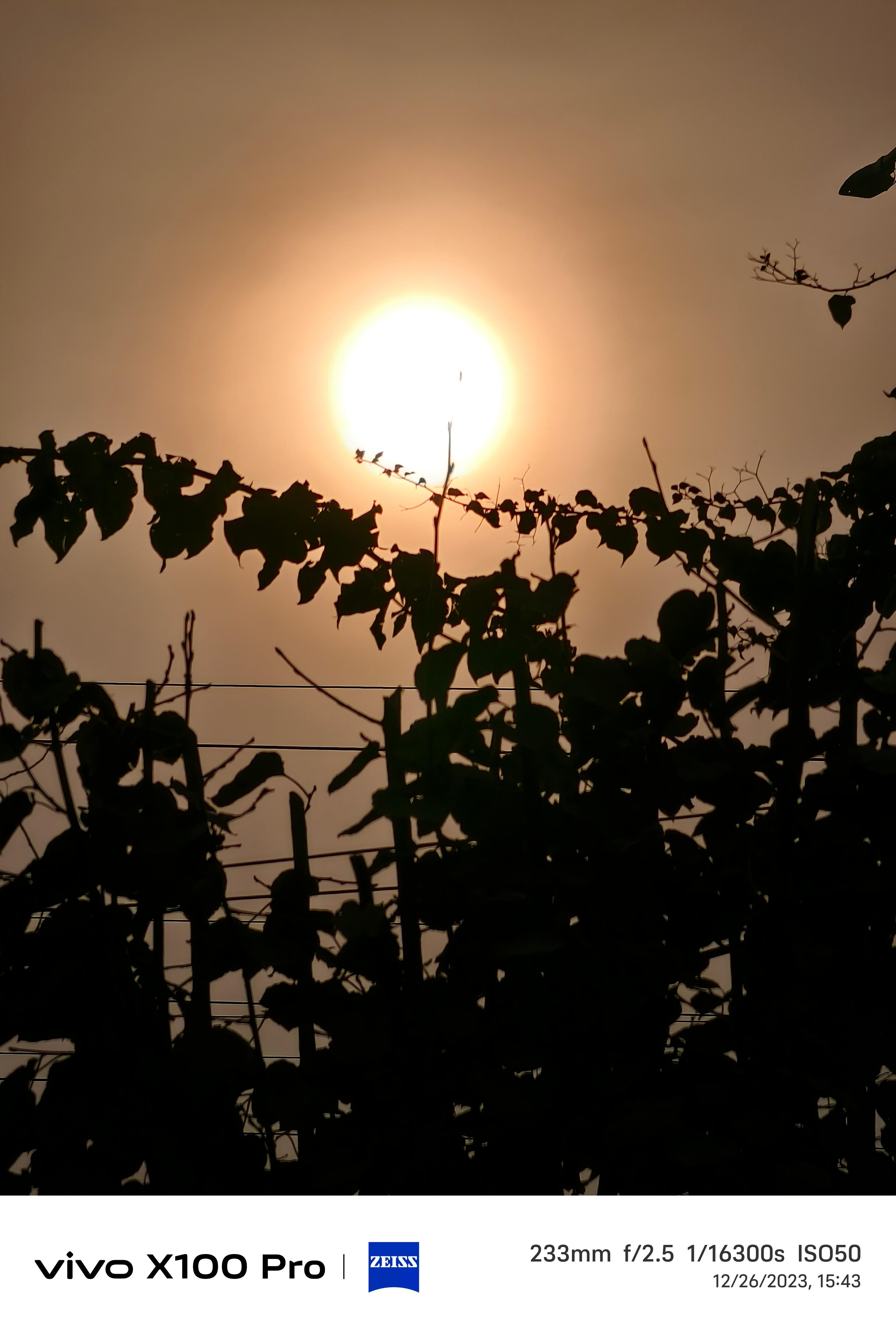 Vivo X100 Pro Review: The King of Portrait Photography