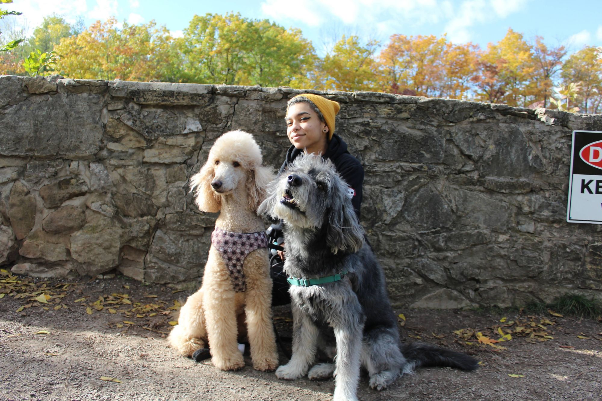 Dog Grooming & Cat Grooming Services | PetSmart