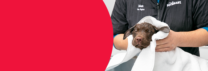 Pet Services | PetSmart