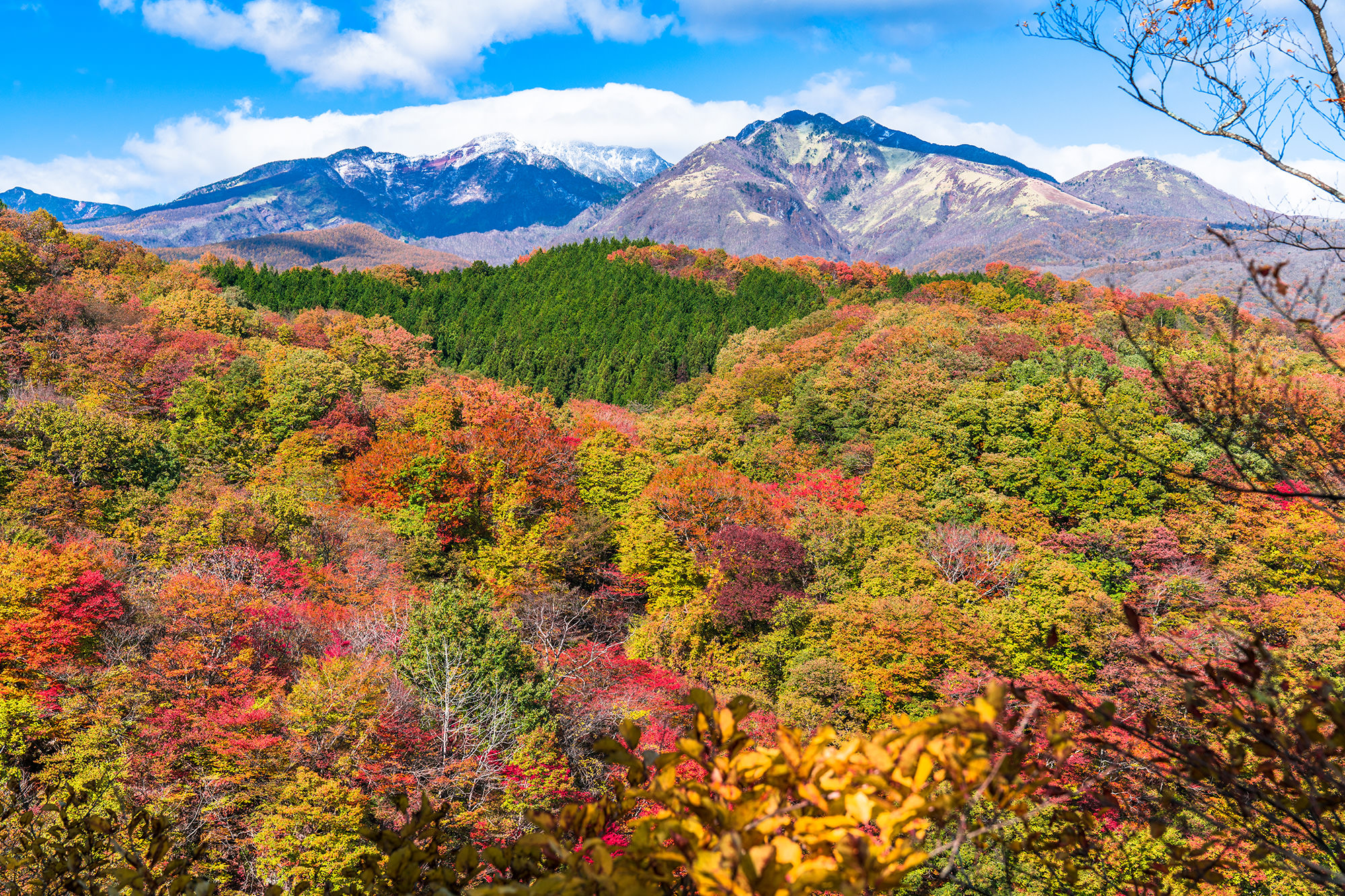 The Best of Nikko's Nature | Nikko Official Guide