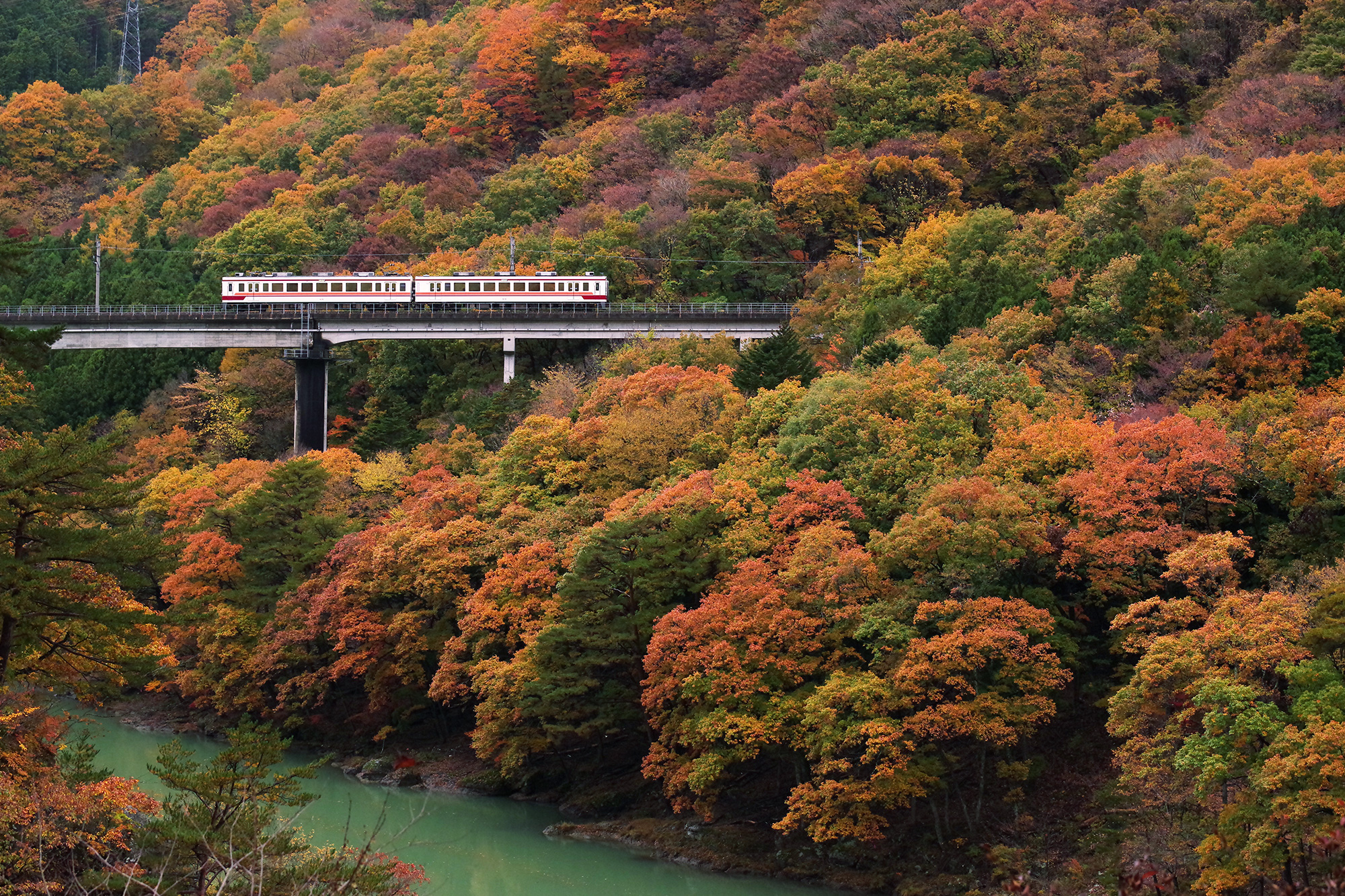 Activities & Experiences | Nikko Official Guide