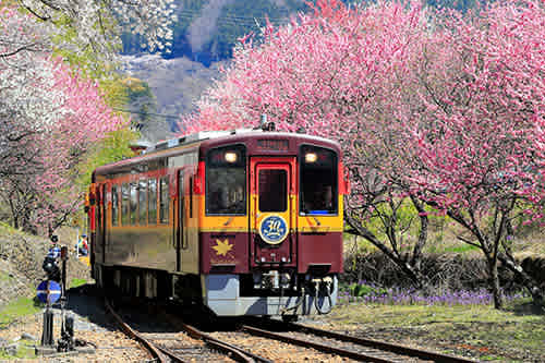 Getting Here & Around | Nikko Official Guide