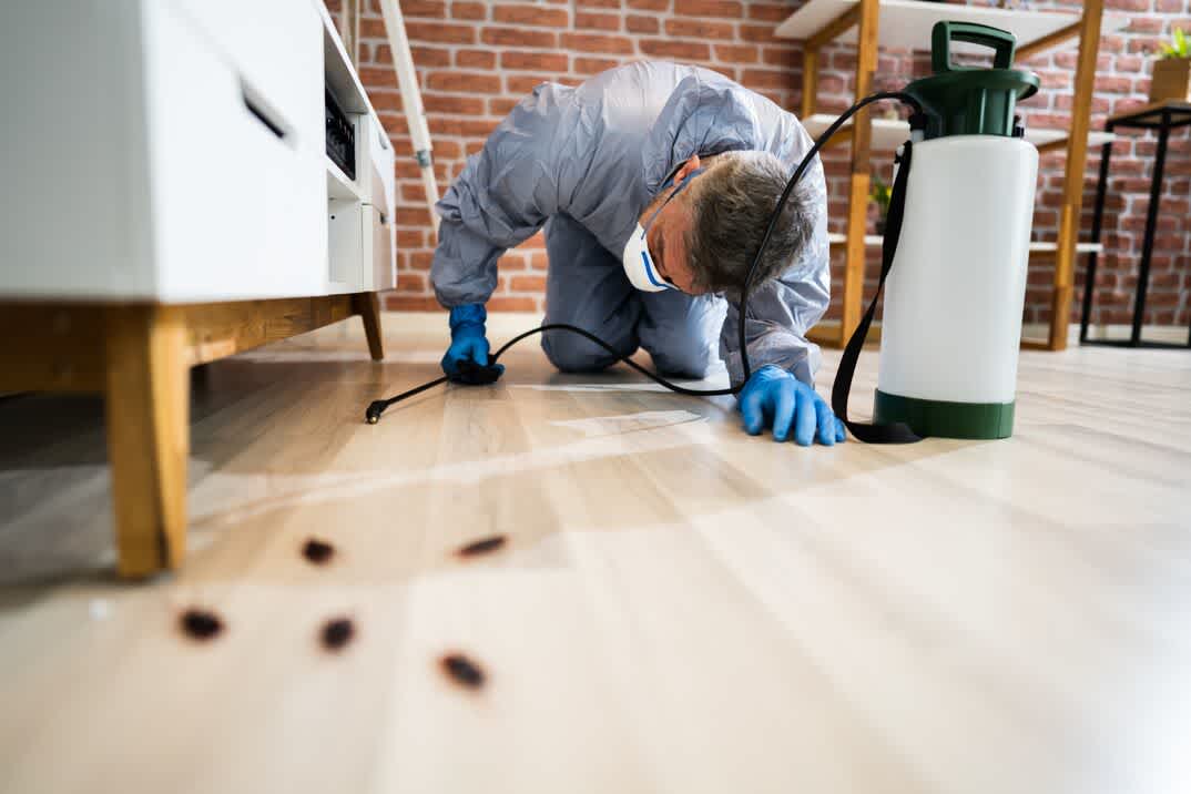 Sacramento Pest Control SEO Sacramento Pest Control SEO