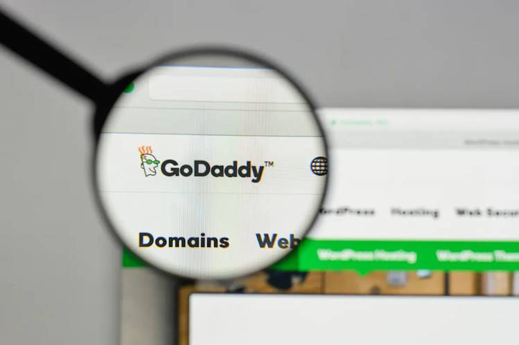How to Provide Delegate Access in GoDaddy
