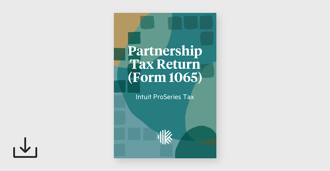 Partnership Tax Return in Intuit ProSeries Tax (Form 1065) | Karbon ...