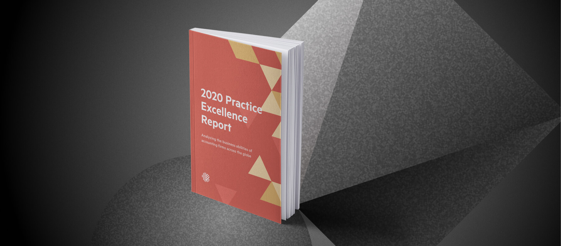 2020 Practice Excellence Report | Karbon resources