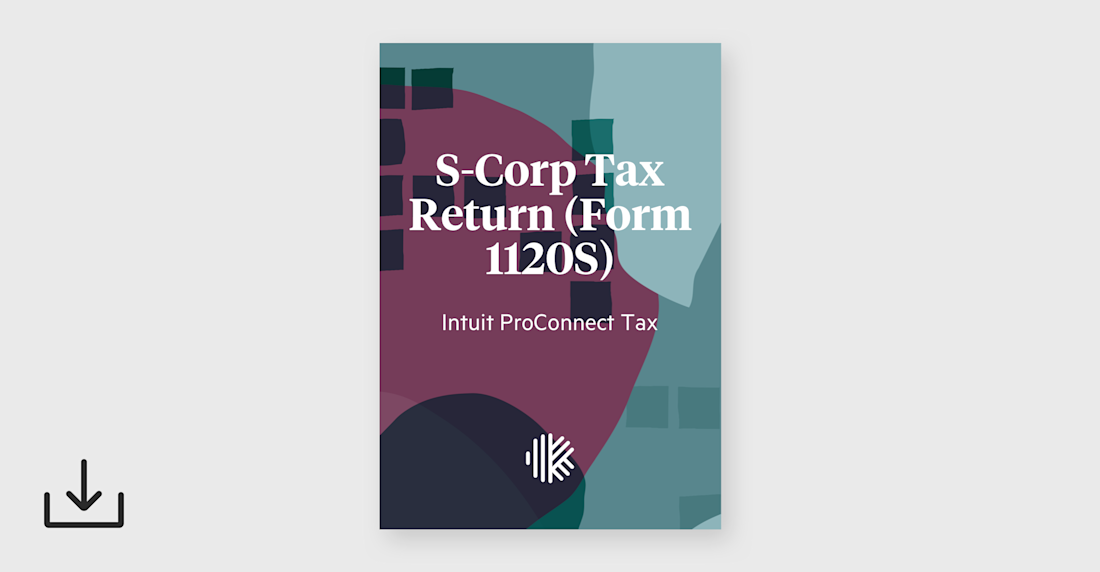 S-Corp Tax Return in Intuit ProConnect Tax Form 1120S | Karbon | Karbon ...