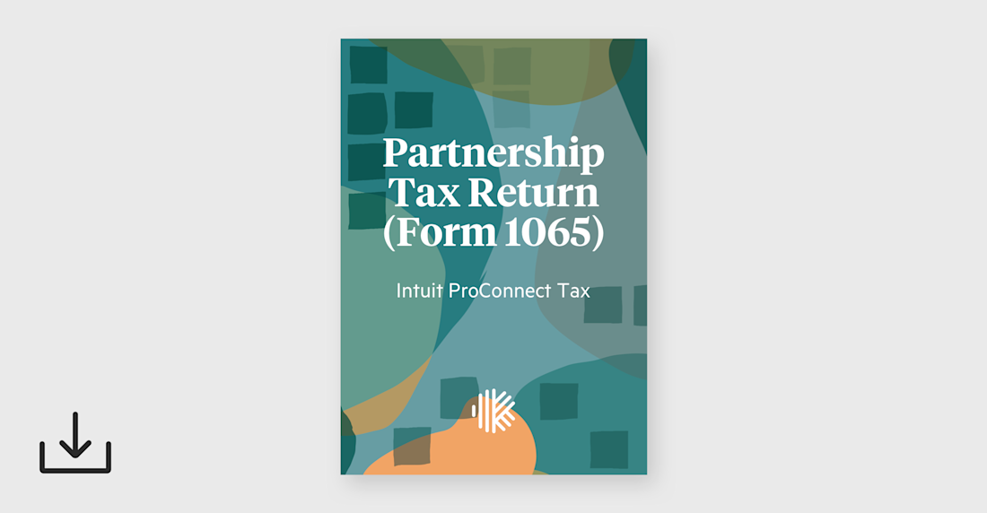 Partnership Tax Return in Intuit ProConnect Tax (Form 1065) | Karbon ...
