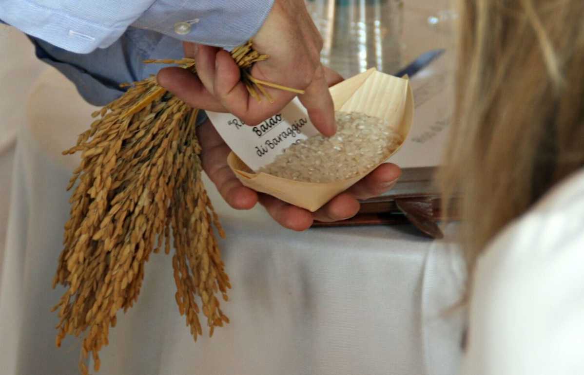 Valentina Masotti, intervista alla Rice sommelier più famosa d’Italia ...