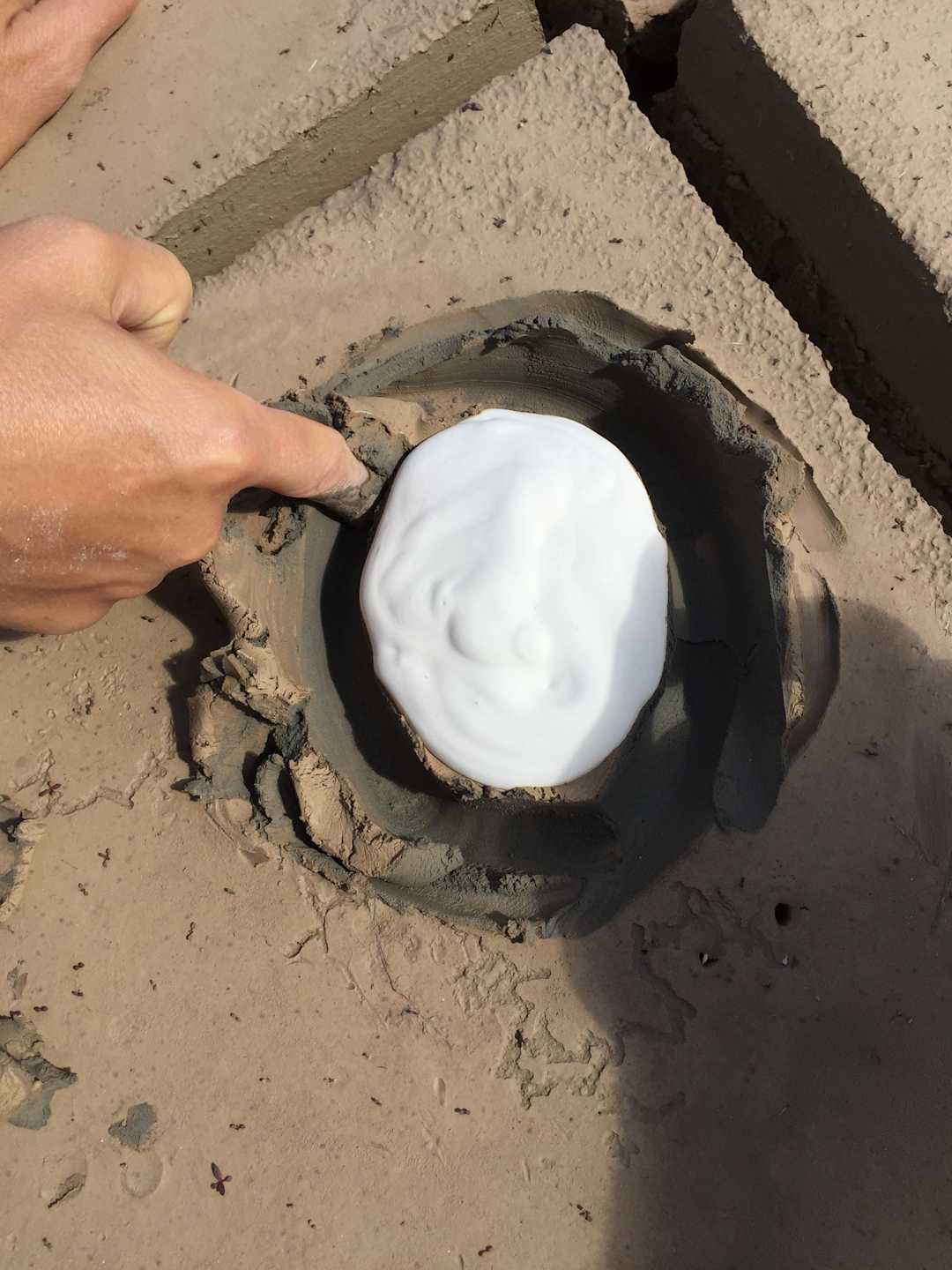 Nature School Project: Plaster Casting — Sparkle Stories
