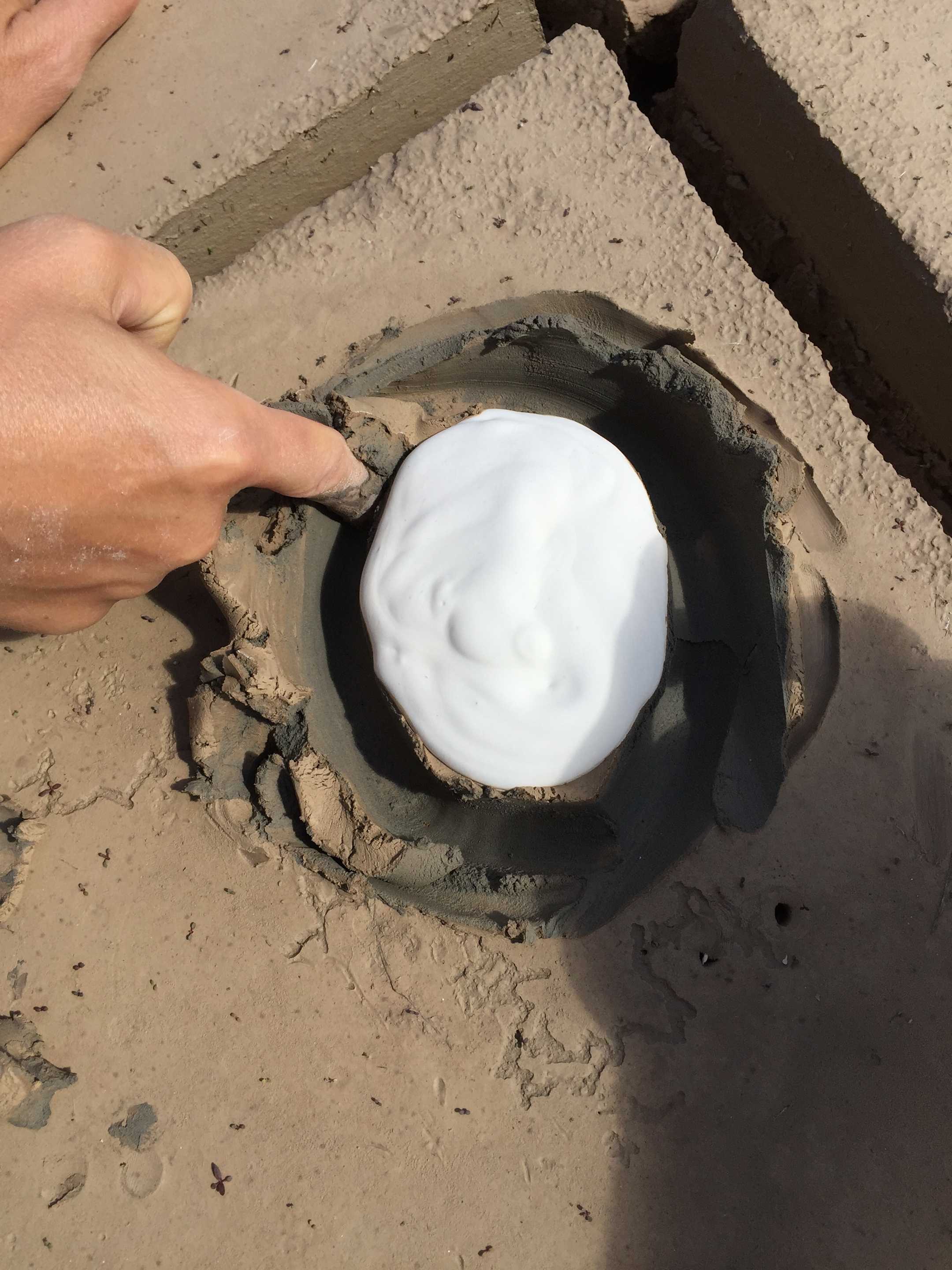 Nature School Project: Plaster Casting — Sparkle Stories