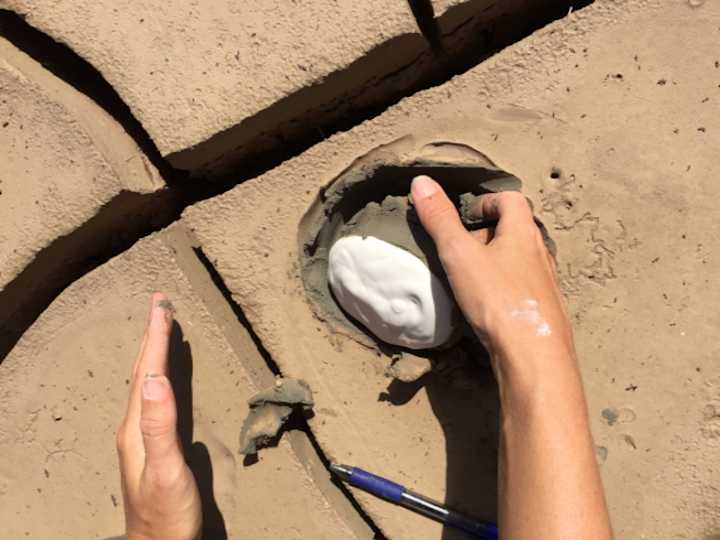 Nature School Project: Plaster Casting — Sparkle Stories