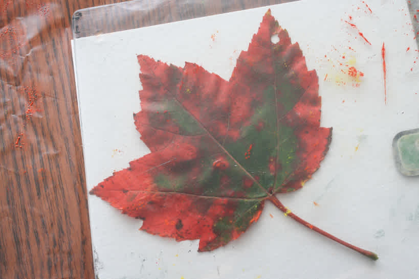 Printmaking with Leaves — Sparkle Stories