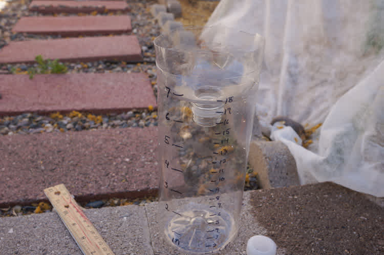 Nature School Project: DIY Rain Gauge — Sparkle Stories