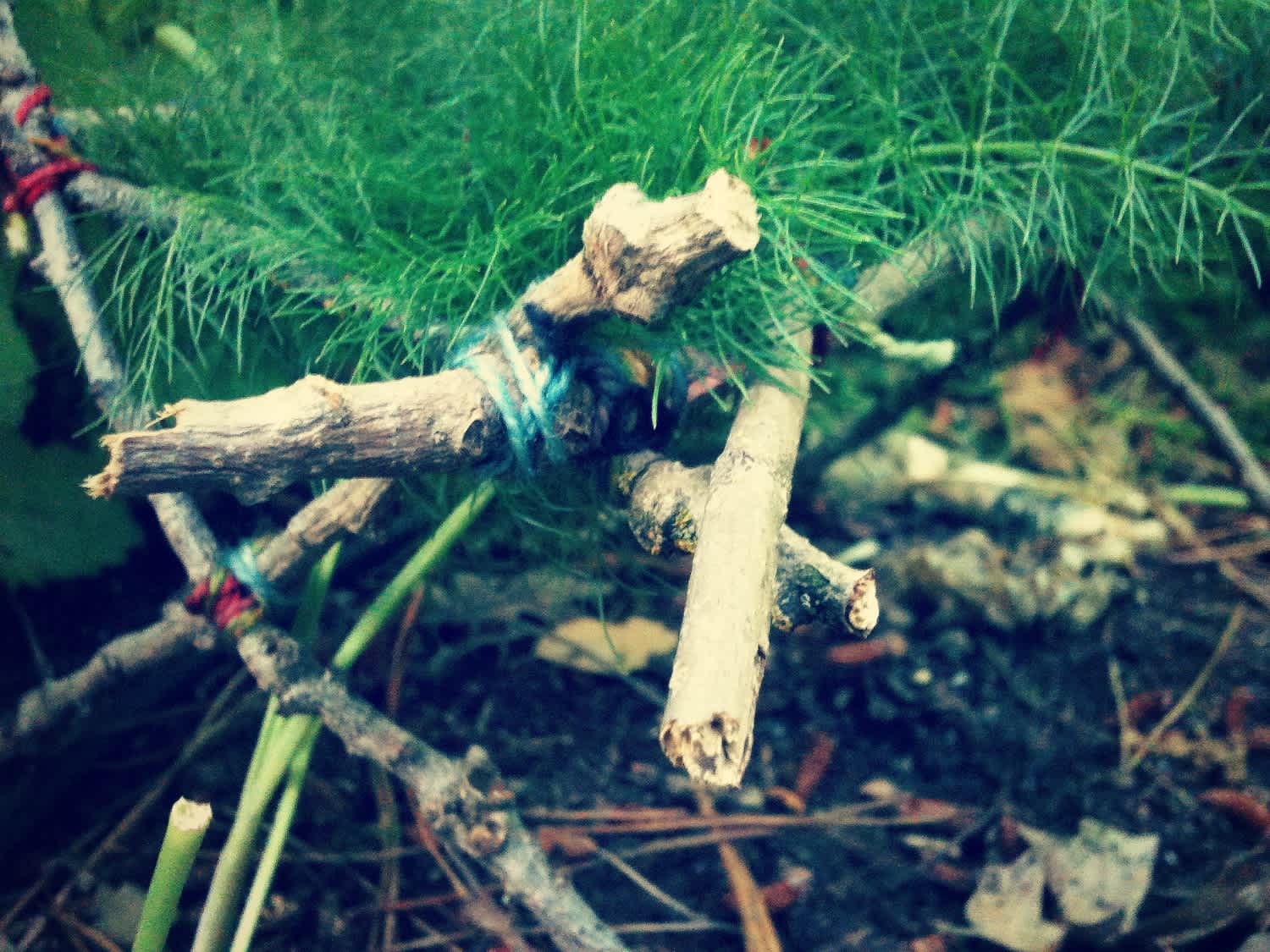 Sparkle Crafts: Lashing Sticks — Sparkle Stories