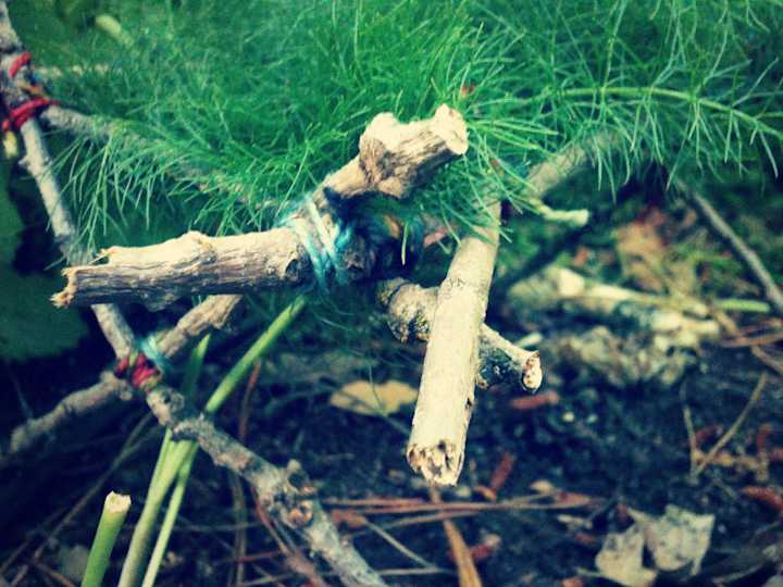 Sparkle Crafts: Lashing Sticks — Sparkle Stories