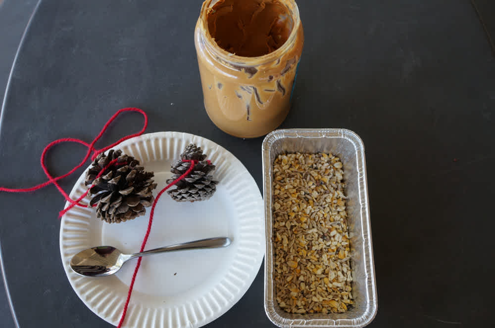 Nature School Project: Bird Feeders and Squirrel Feeders — Sparkle Stories