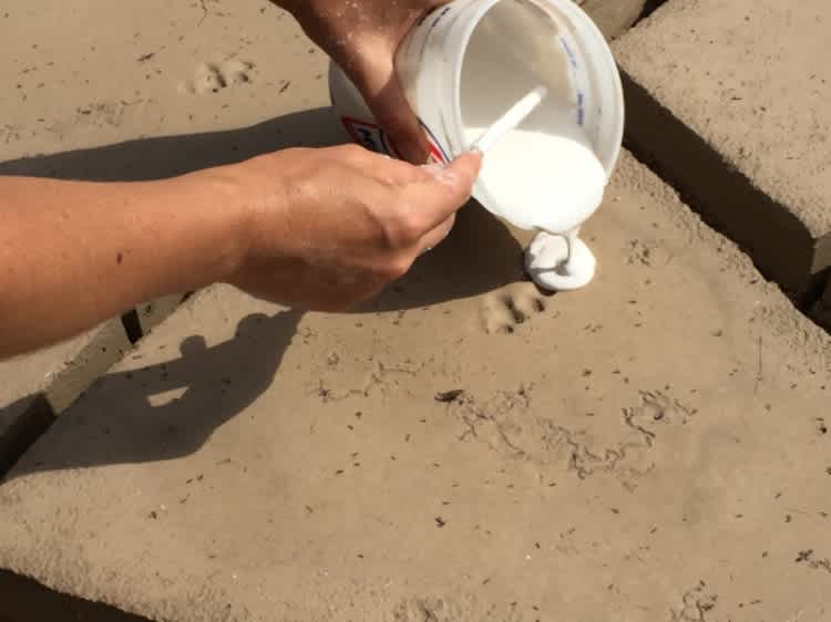 Nature School Project: Plaster Casting — Sparkle Stories