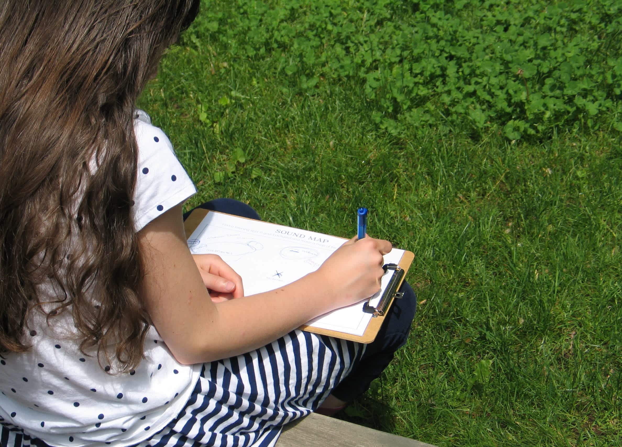 Nature School Project: Identifying Bird Calls — Sparkle Stories