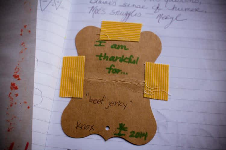 DIY Family Thanksgiving Book — Sparkle Stories