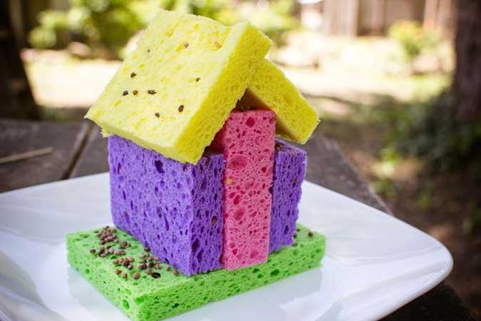Build Sponge Sprout Houses — Sparkle Stories