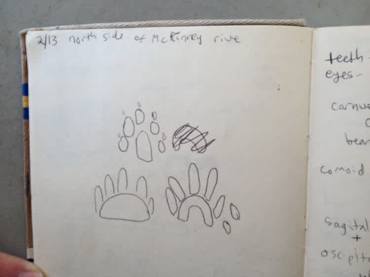 Nature School Project: Nature Journals — Sparkle Stories