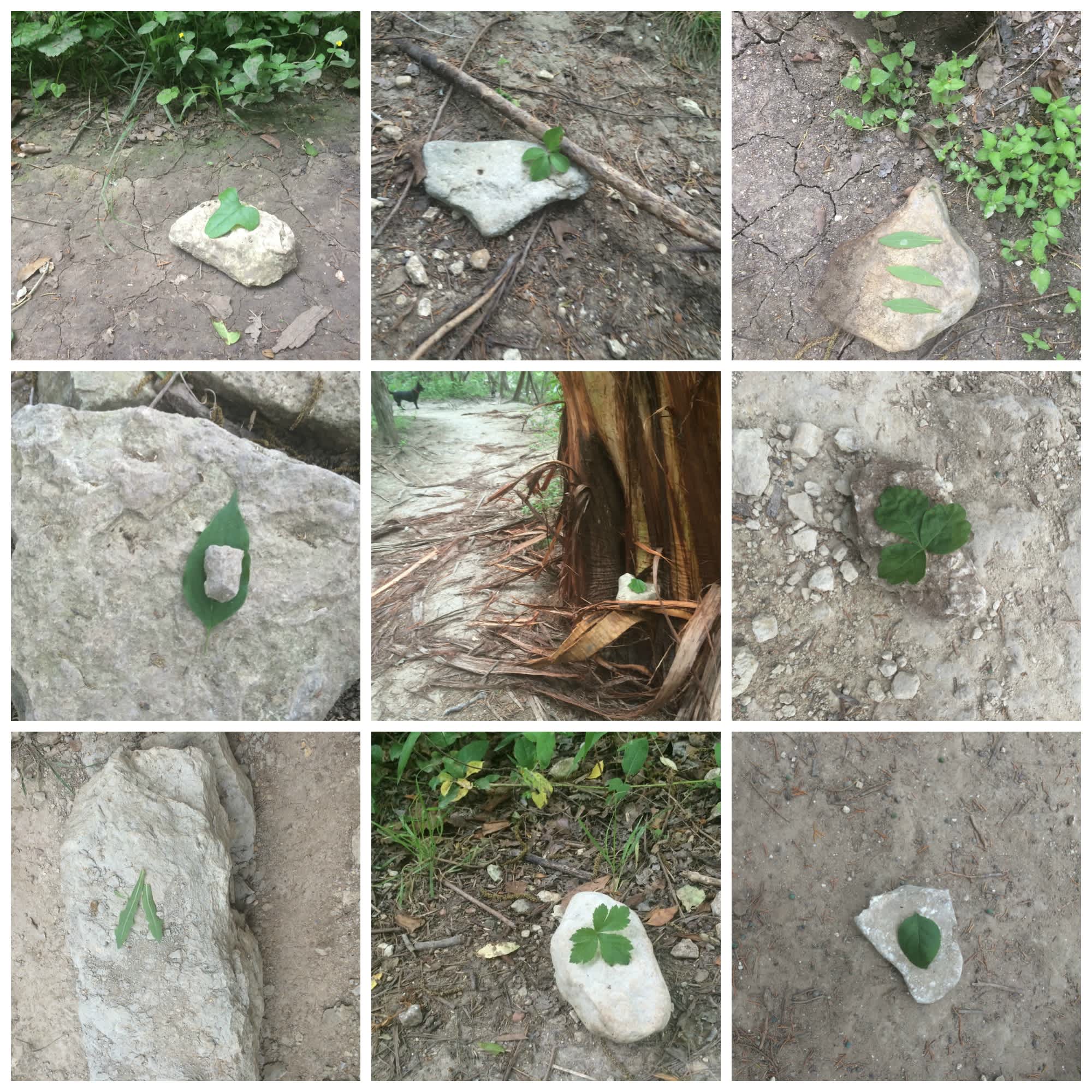 Nature School Project: Hidden Earth Art — Sparkle Stories