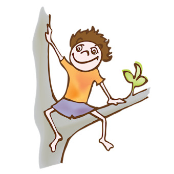 The Willowbee Tree - Sparkle Stories