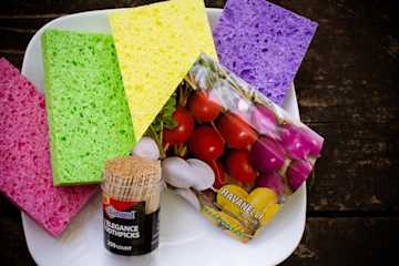 Build Sponge Sprout Houses — Sparkle Stories