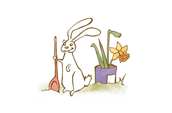 Risky Rabbit - Sparkle Stories