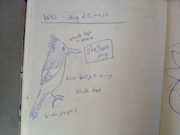 Nature School Project: Nature Journals — Sparkle Stories