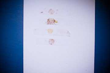 Sparkle Craft: Super Spy Finger Print Powder — Sparkle Stories