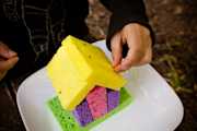 Build Sponge Sprout Houses — Sparkle Stories