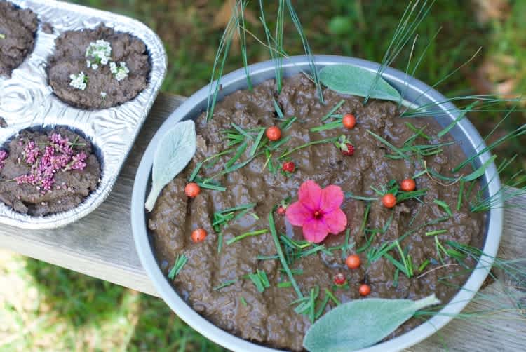 Mud Pies and Mud Ball Critters — Sparkle Stories