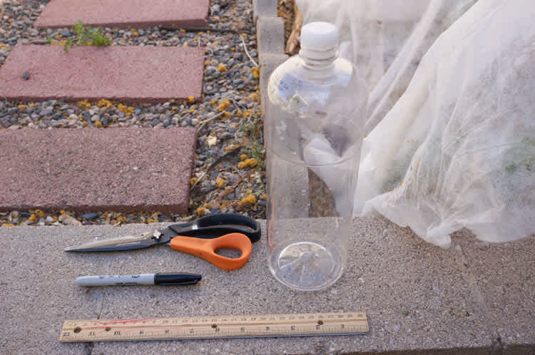 Nature School Project: DIY Rain Gauge — Sparkle Stories