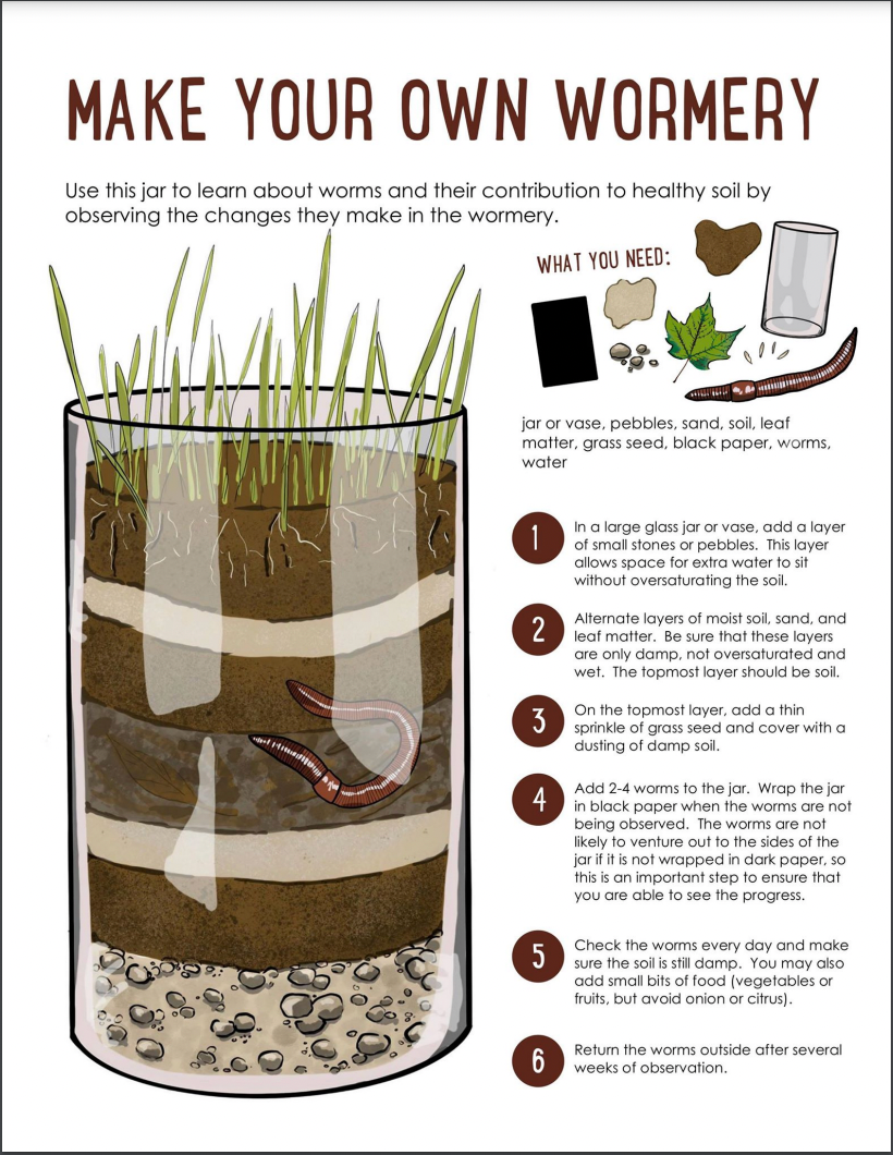 How to Make Your Own Wormery — Sparkle Stories