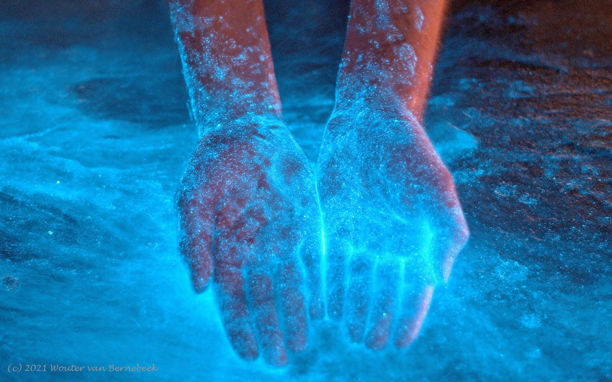 Tip: komende nachten kans om zeevonk te spotten