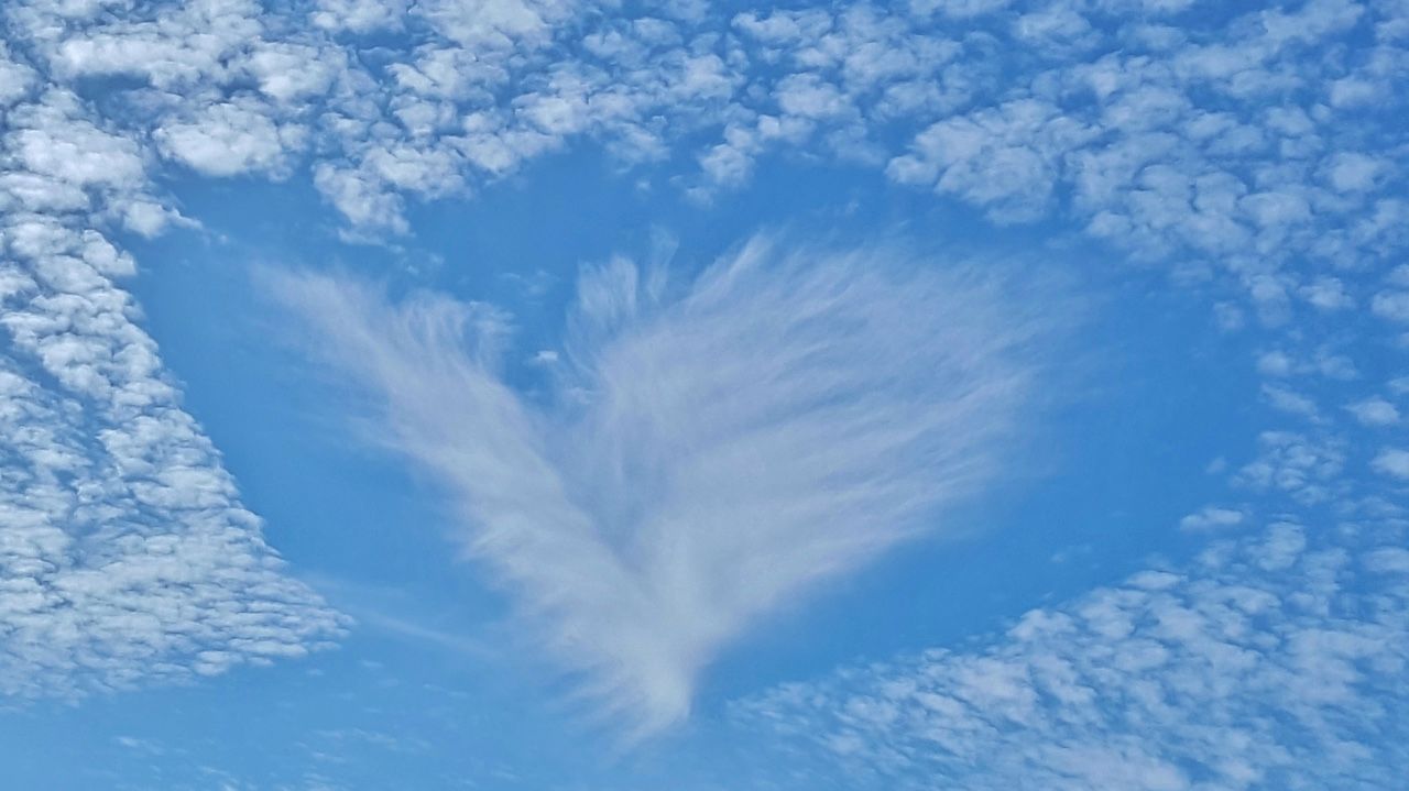 Alles wat je moet weten over wolken die door vliegtuigen ontstaan