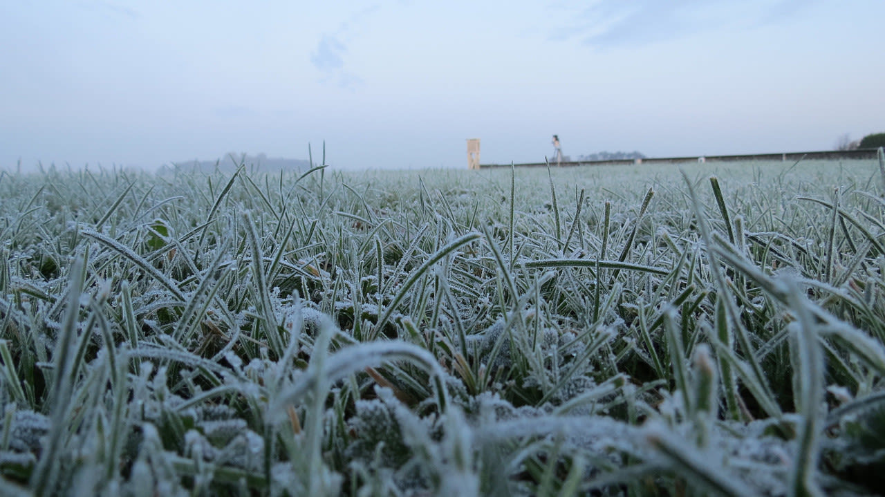 Weekend vrij koud met kans op mist