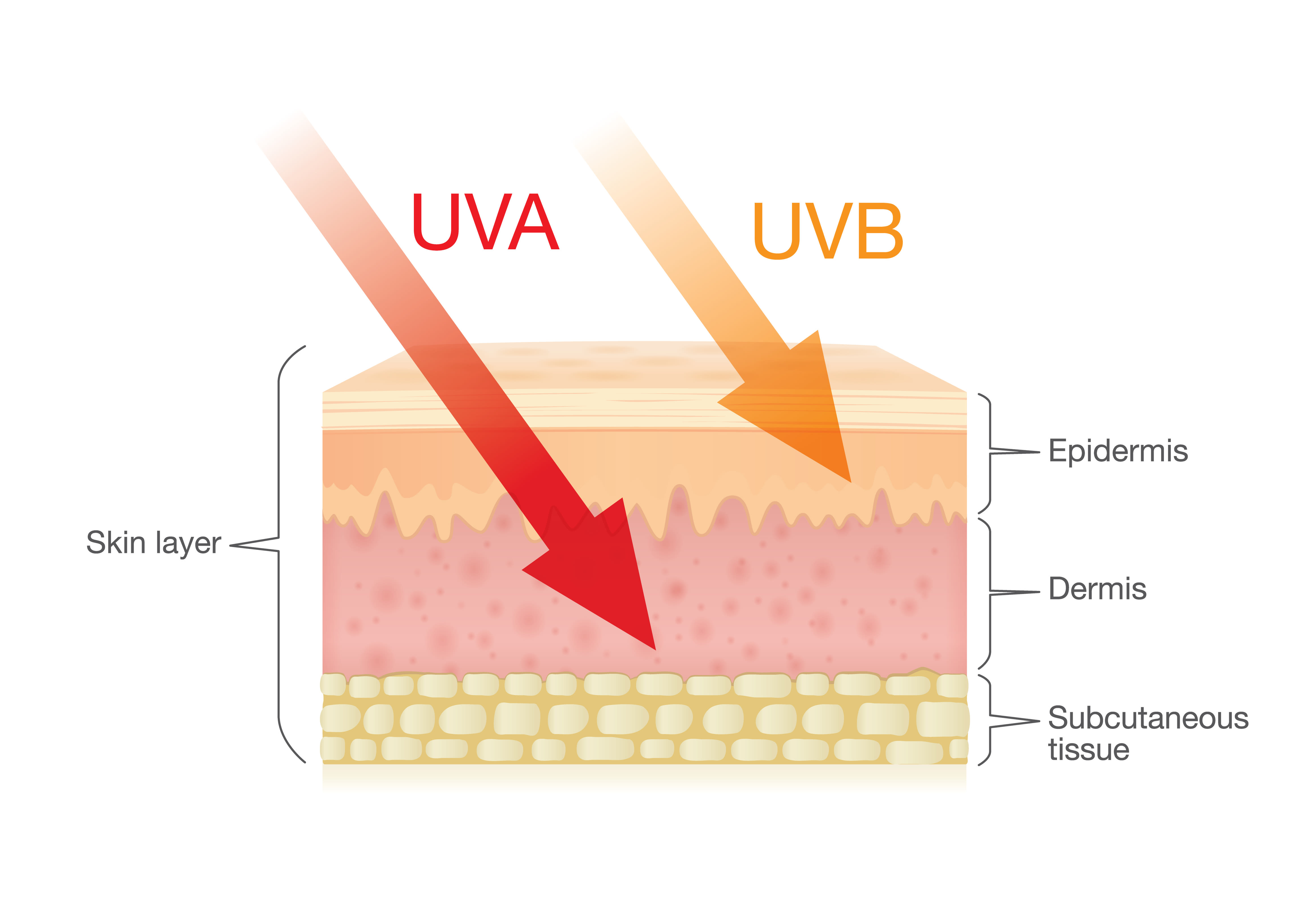 Waneer kun je verbranden? Wat is zonkracht en UV-index?