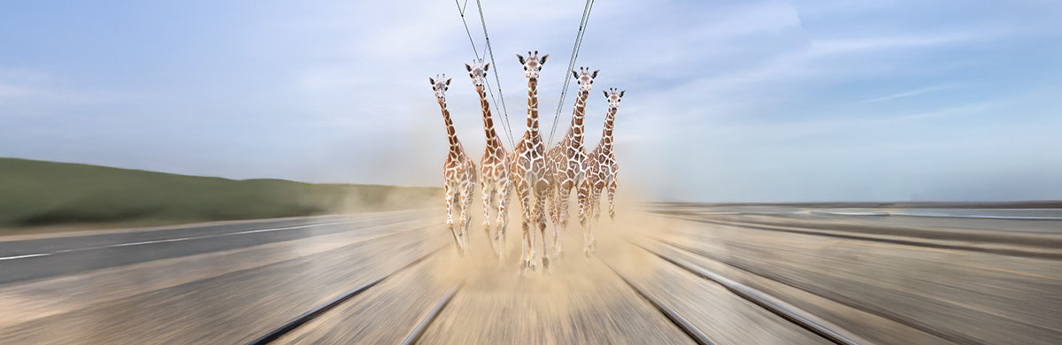 Kijk uit voor de tram. Altijd. Overal. - De Lijn