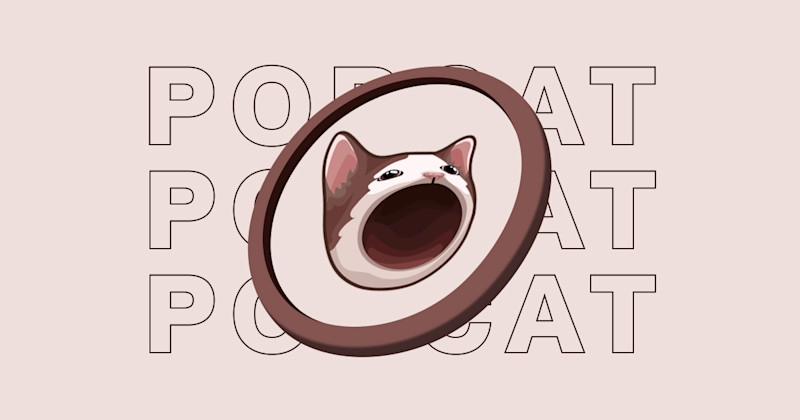 What Is Popcat (POPCAT)? | Flipster Blog