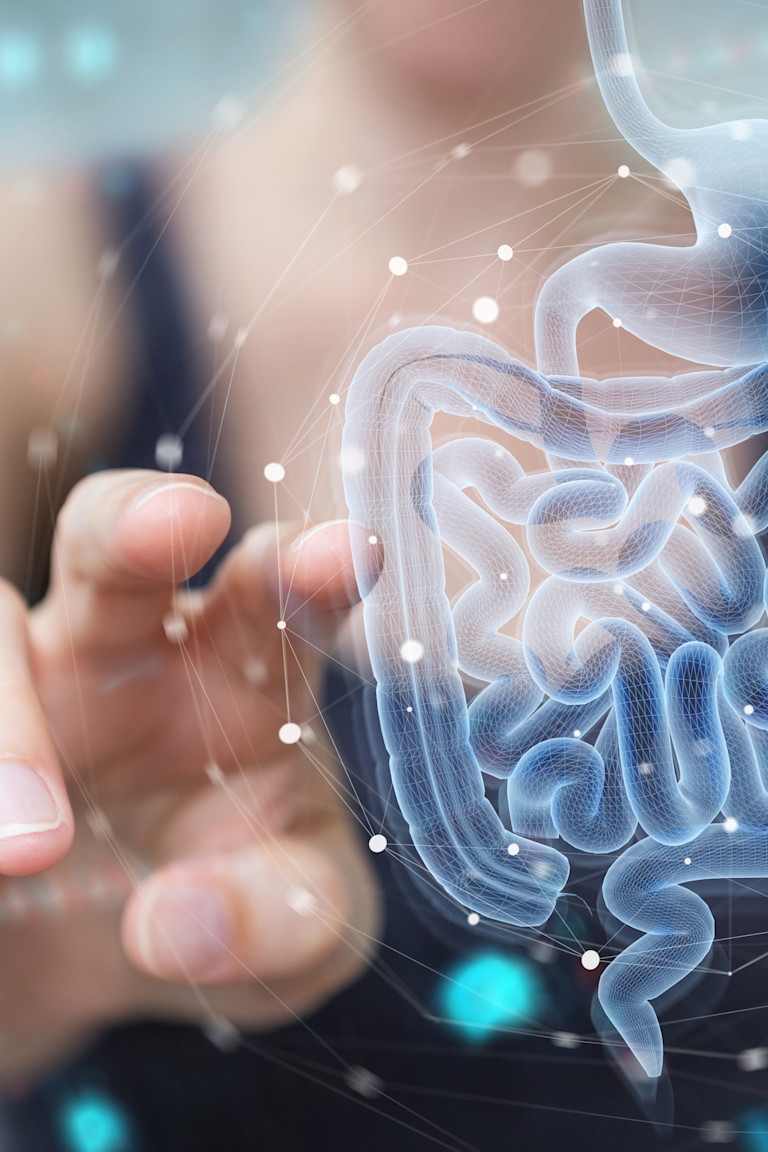 Activia Gut Science Hub | Gut health | For Health Professionals